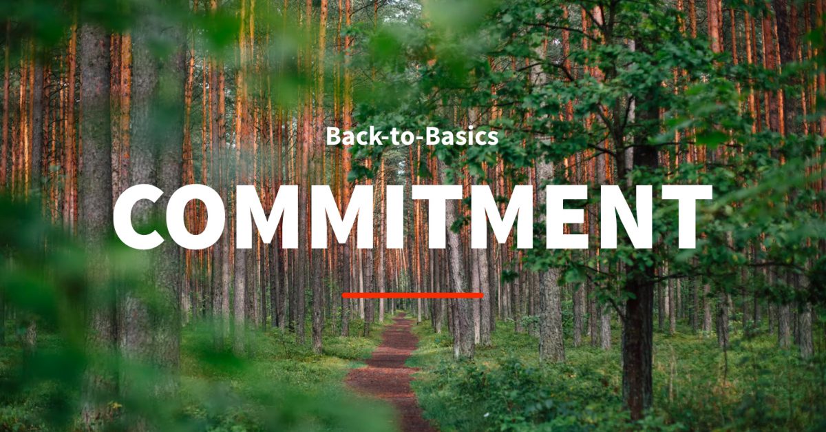 Insights | Basic Software Systems